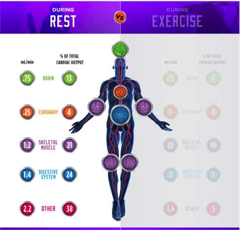 XRCEL | Stomach and Intestinal Upset in Athletes – Things You Should Know